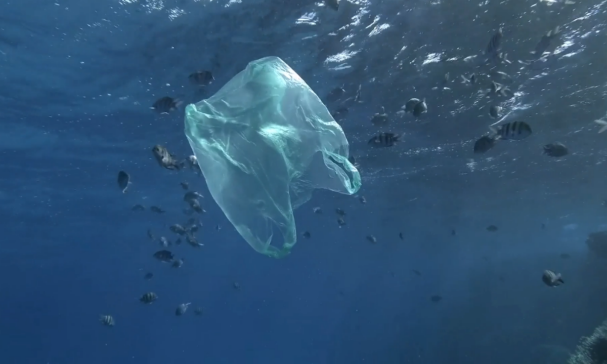 Home - Circular Ocean Plastic (COP)